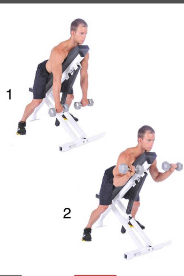 musculation: Bras exercice n: 29