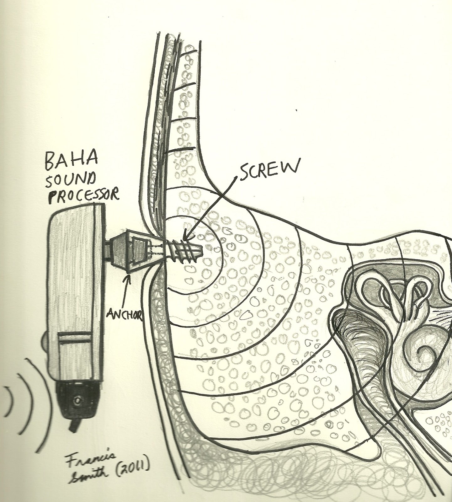 CCA Kids Blog: March 2017