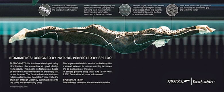 Hypostomus plecostomus: Literature Review