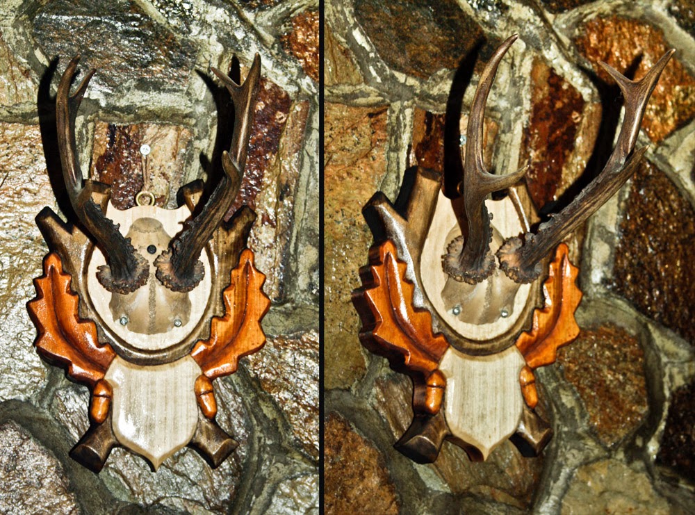 panoplii de vanatoare: panoplii caprior