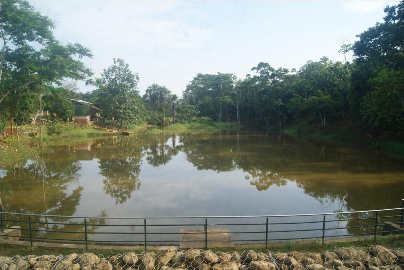 Turismo en Taisha Carnaval 2013