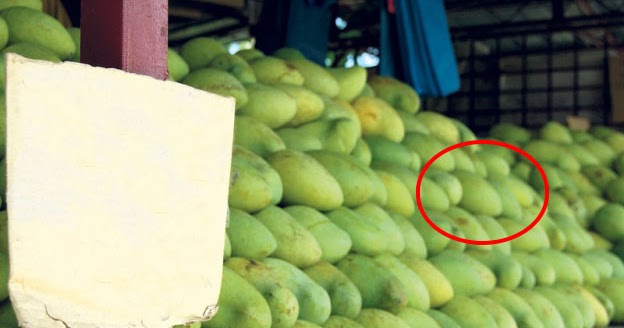 Mengenal Beza Mempelam Harum Manis Dan Sala