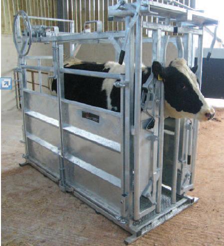 kadang jepit sapi: Kandang Jepit dan Timbangan Sapi