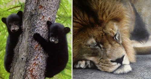 Design Stack: A Blog about Art, Design and Architecture: Realistic ...