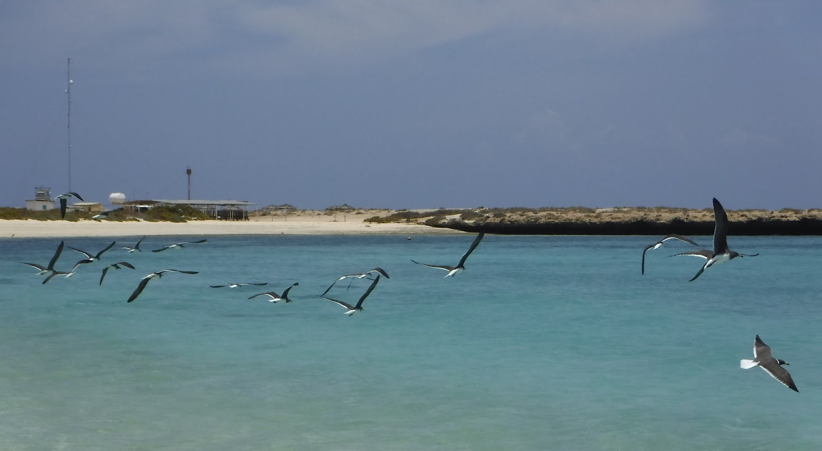 Parenthèse à Djibouti: L'île de Maskali