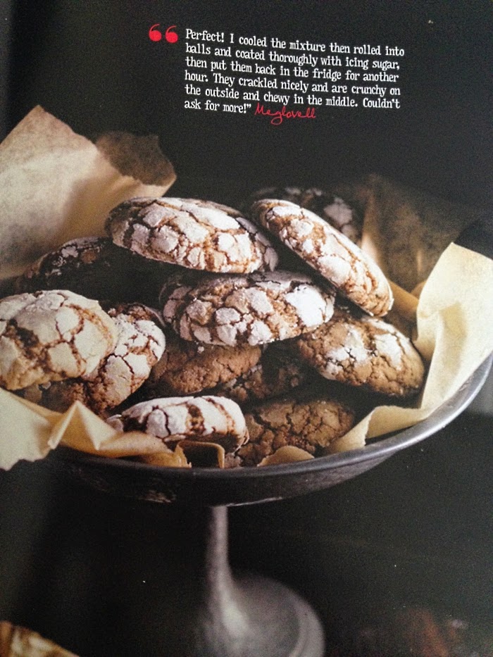 SERENDIPITY AND KATE: GINGERBREAD EARTHQUAKE COOKIES