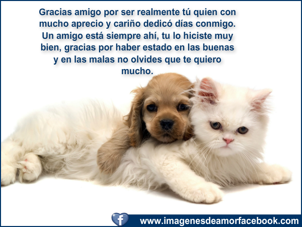 Postales de Amistad para Enviar en Facebook | Las Mejores Frases y ...