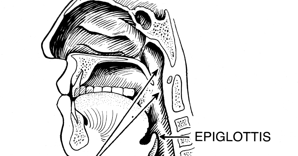 Hadijah Menulis: TENGGOROKAN (FARING)