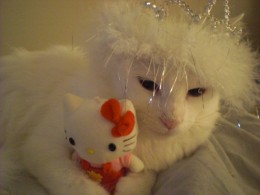 Hello Kitty with her Kitty Owners | Hello Kitty Forever
