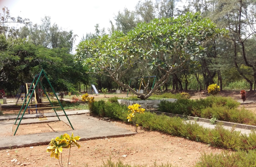 Tamilnadu Tourism: Chittar Dam – 1, Pechiparai, Kanyakumari