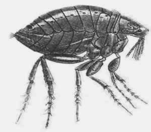 Getting to Know Kenya - straight from the Journal: December 2013