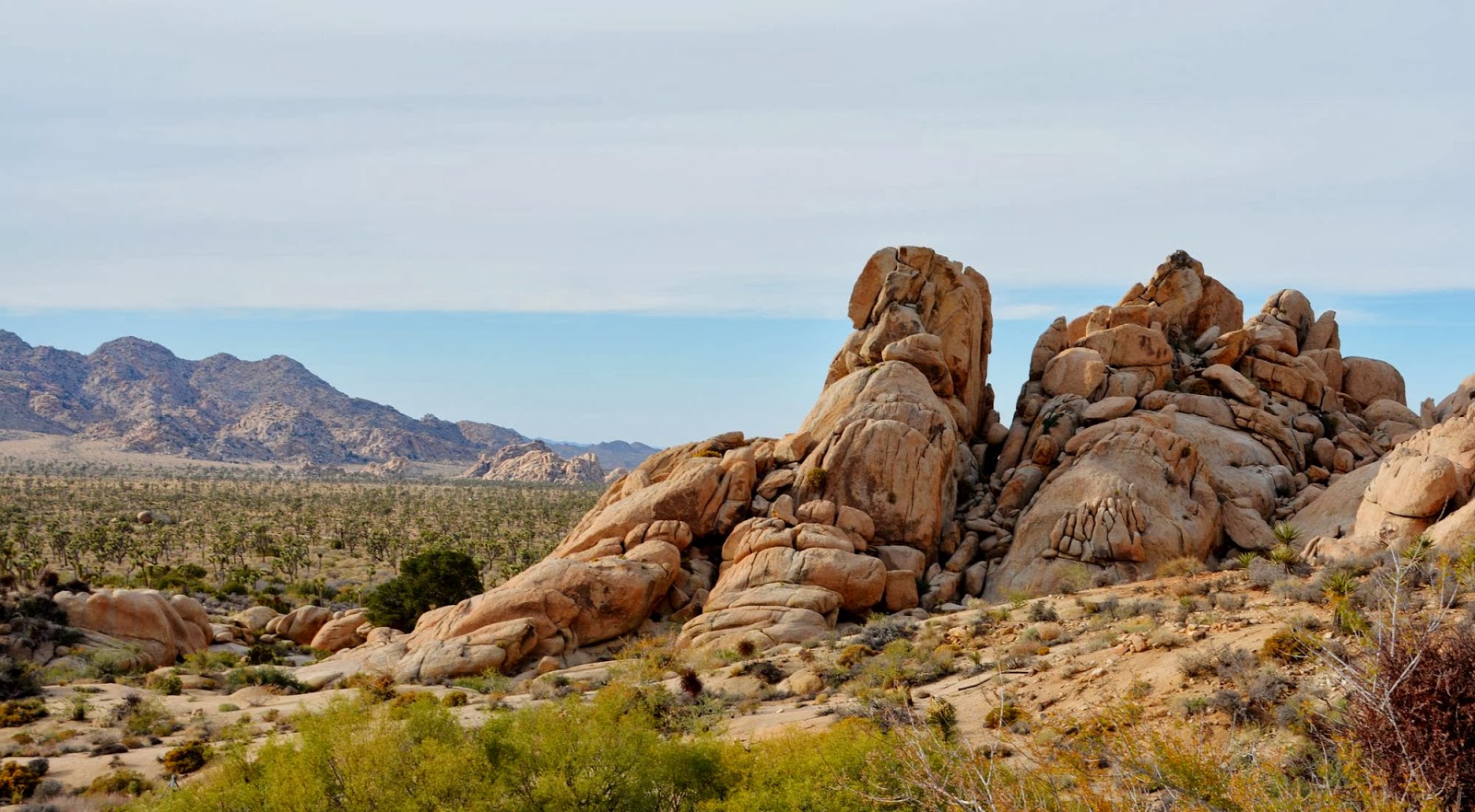 Patrick Tillett: Ryan Ranch - Joshua Tree National Park