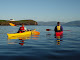 Sea kayaking Ireland: SEA KAYAKING IRELAND DINGLE KERRY
