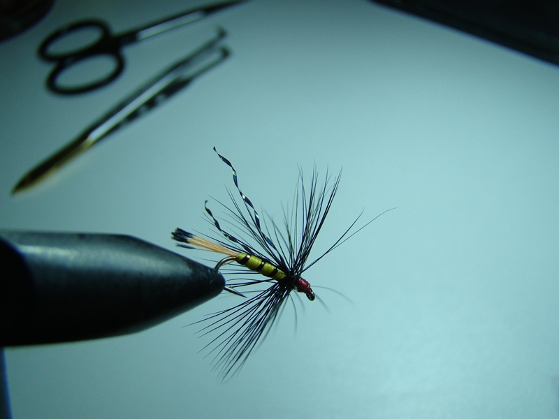 Pescuit cu musca artificiala: Taparina CLEAN