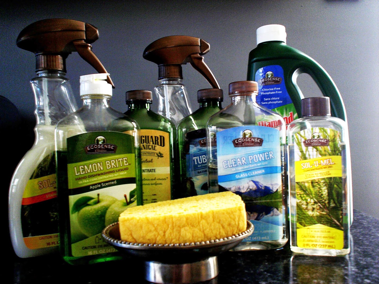 Boho and Mo: Spring Cleaning- 10 Best Natural Non-Toxic Cleaning ...