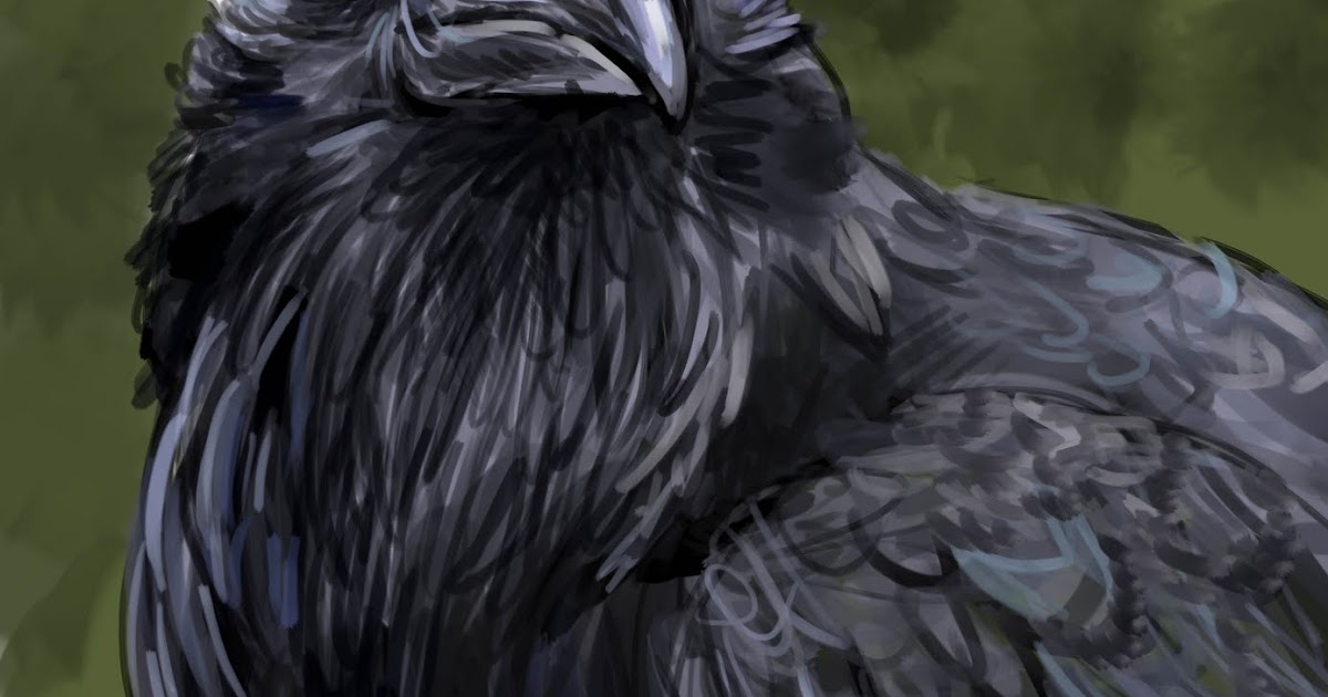 De Art Studios: Ravens eyes