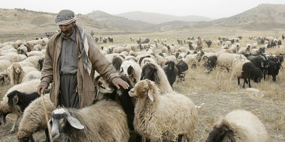 AIOUSINAN: Diffusion des cultures Turques et du Moyen-Orient: 05/06/11 ...