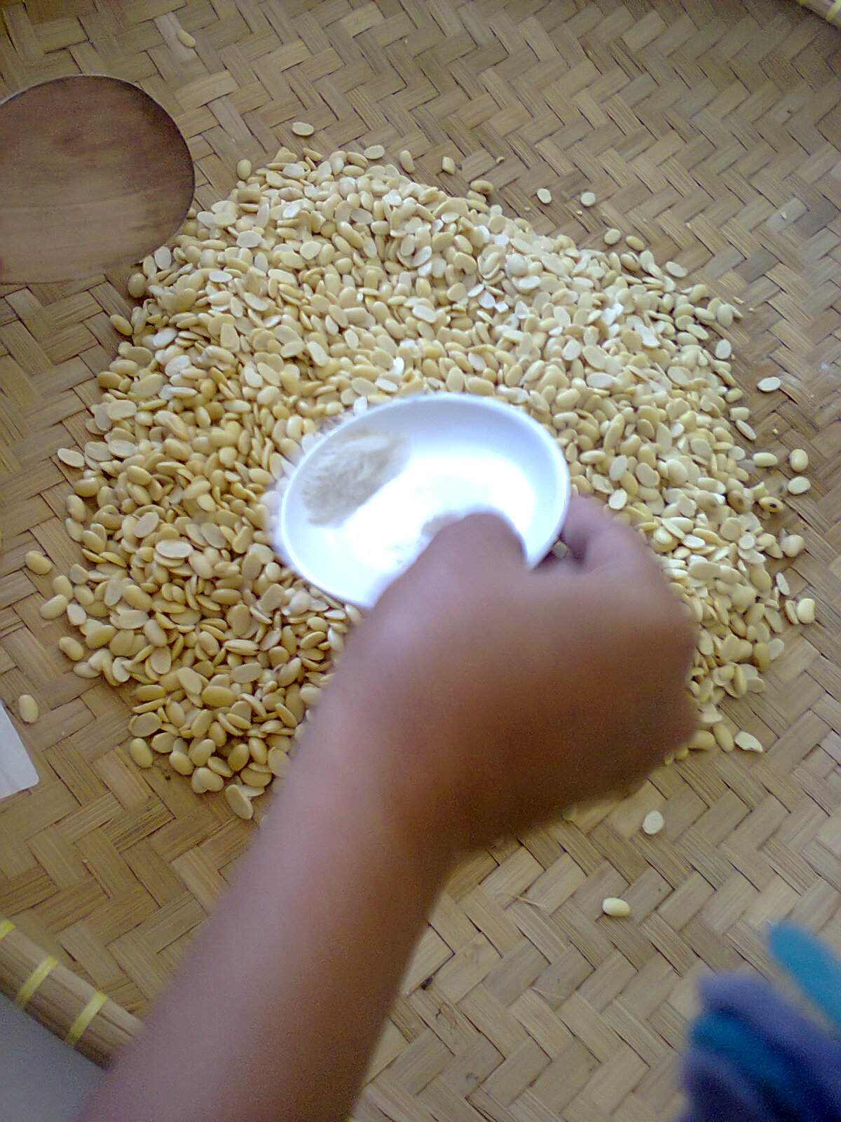 Food and Nutrient Technology: Proses Pembuatan Tempe