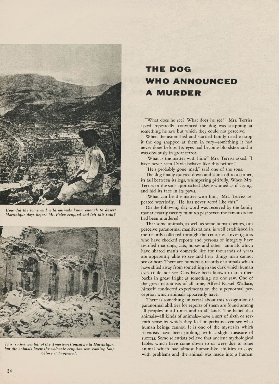 Hairy Green Eyeball 3: TRUE WEIRD #3 — complete magazine of oddities, 1956