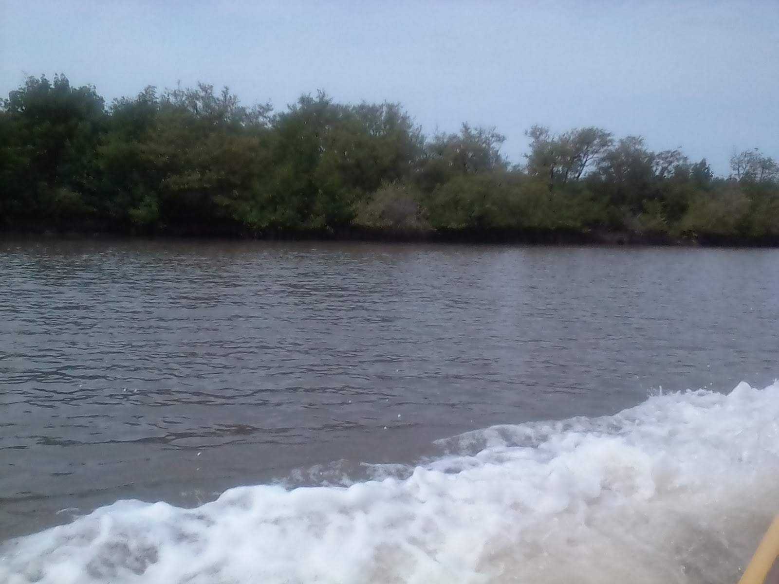 AMADÚ BALDÉ, UNIPESSOAL LDA: Ambiente - “Rio Cacheu tem maior ...