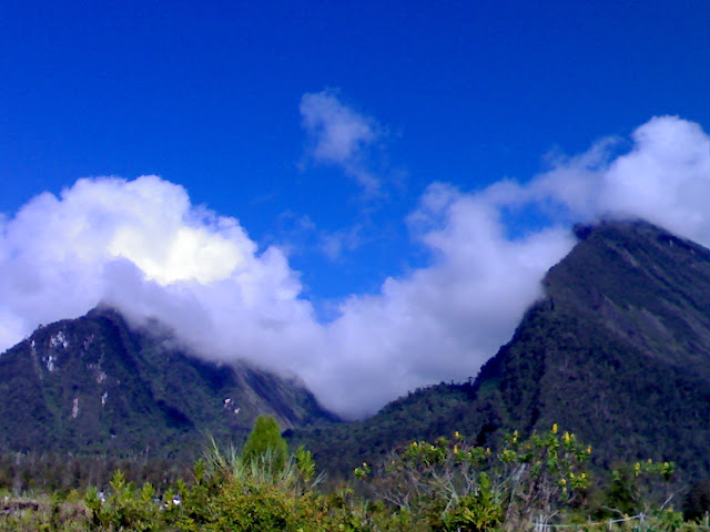 BLOG-GENERATION "YALIMO".: LOGO PEMERINTAH DAERAH KABUPATEN YALIMO