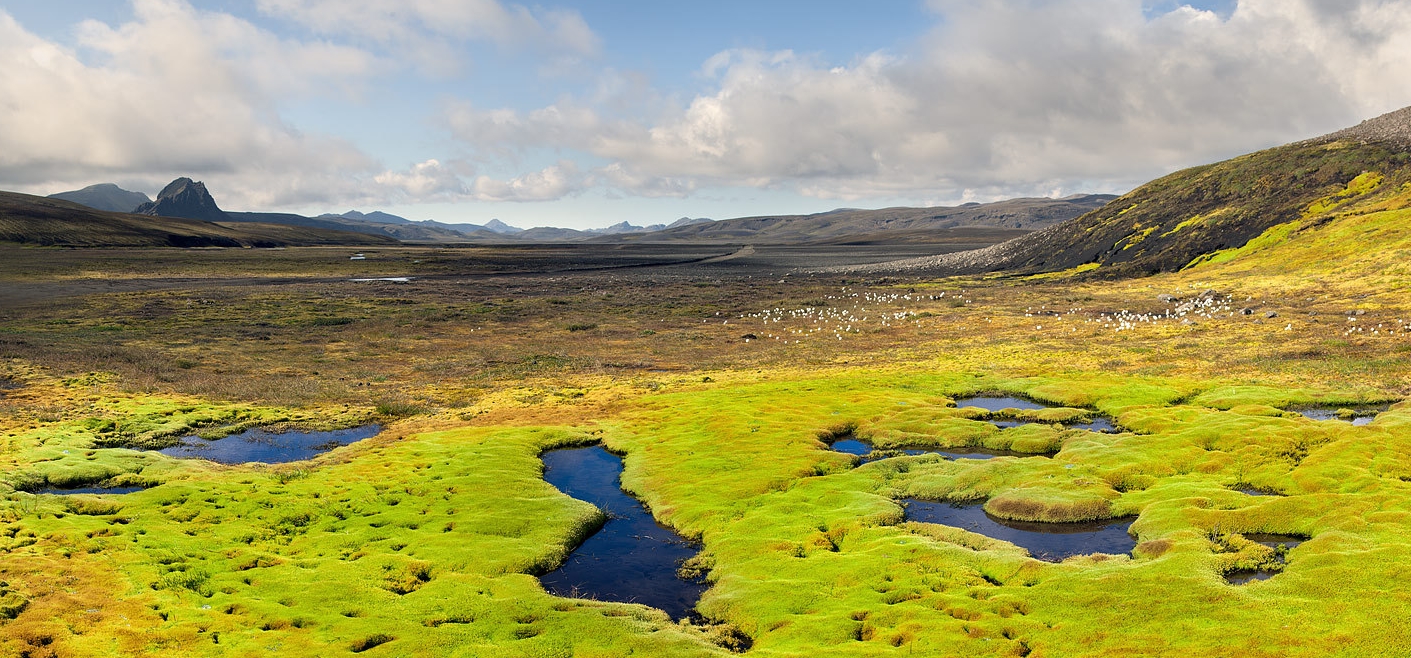 IMAGENES DEL AGUA EN LA NATURALEZA: IMAGEN DE CHARCAS