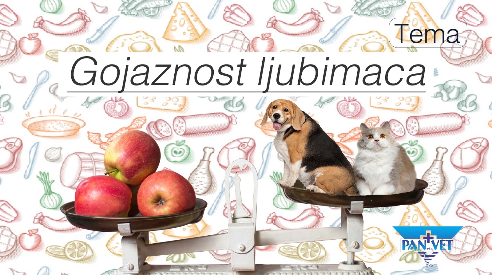 Gojaznost kućnih ljubimaca ~ Panvet - moj veterinar