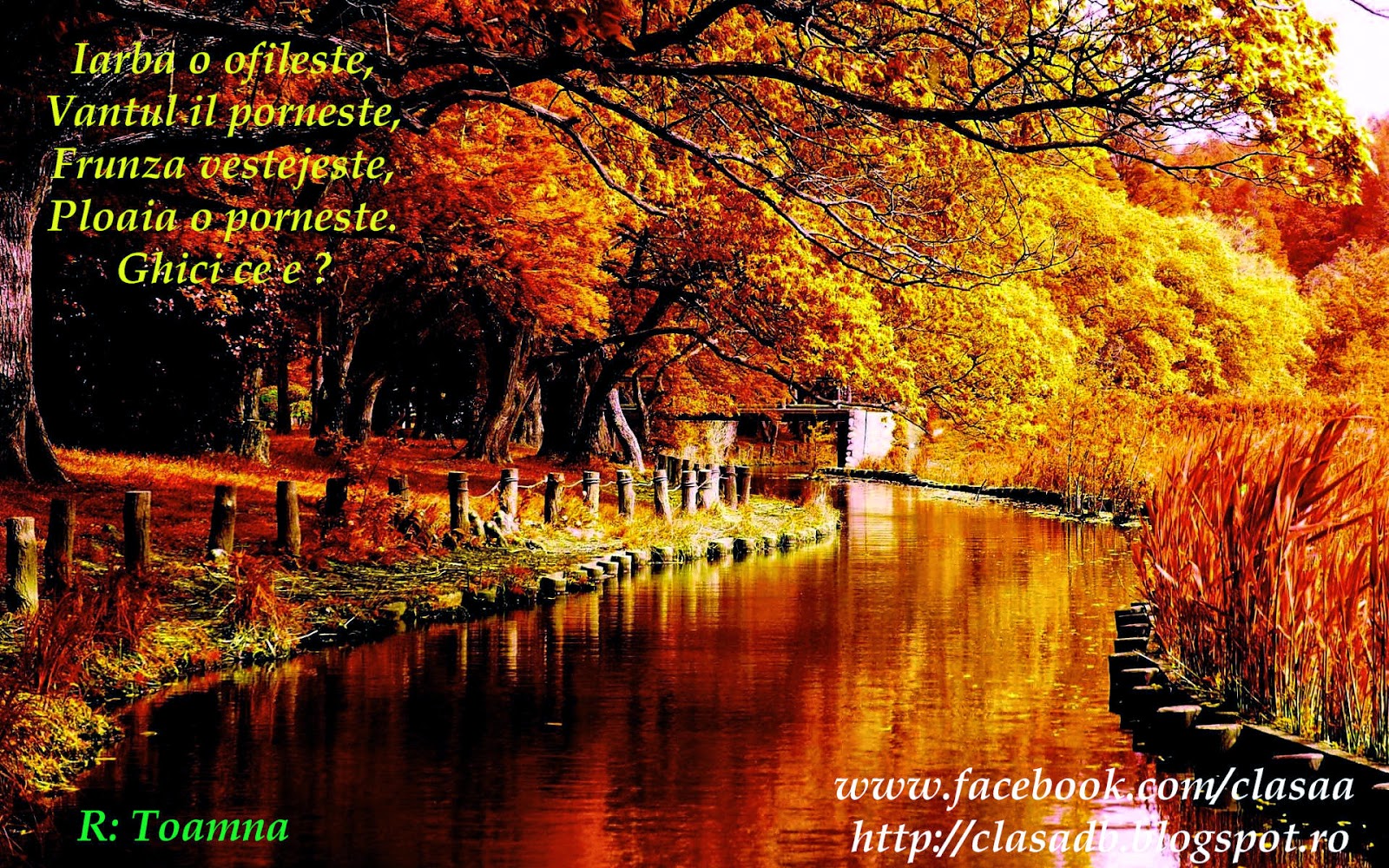 CLASA NOASTRĂ: GHICITORI DE TOAMNA