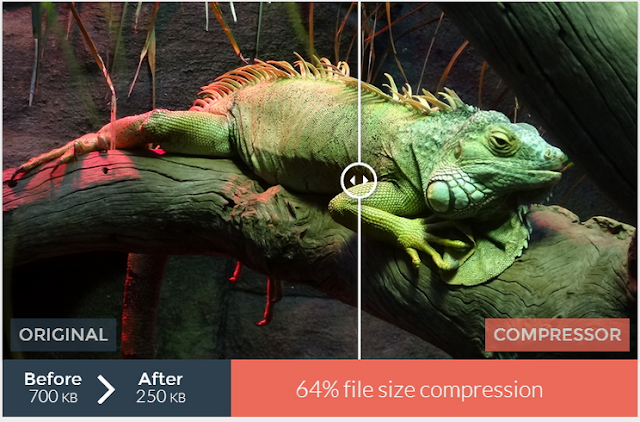 André_Cátia_Aplicações: Técnicas de compressão com perdas e sem perdas