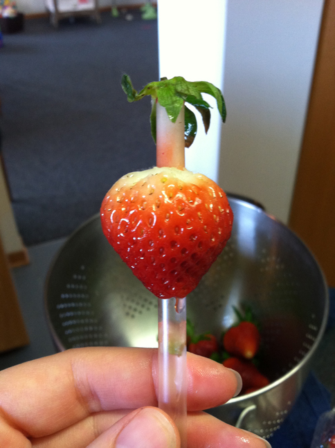 JAKES Place: How to easily core a strawberry