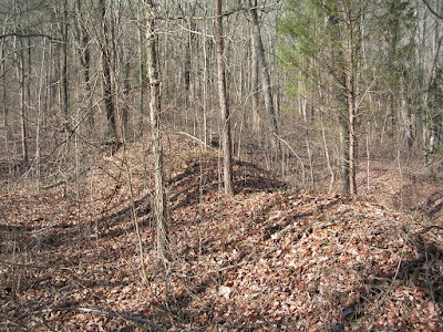 The Civil War Picket: Rocky Face Ridge: Civil War Trust announces ...