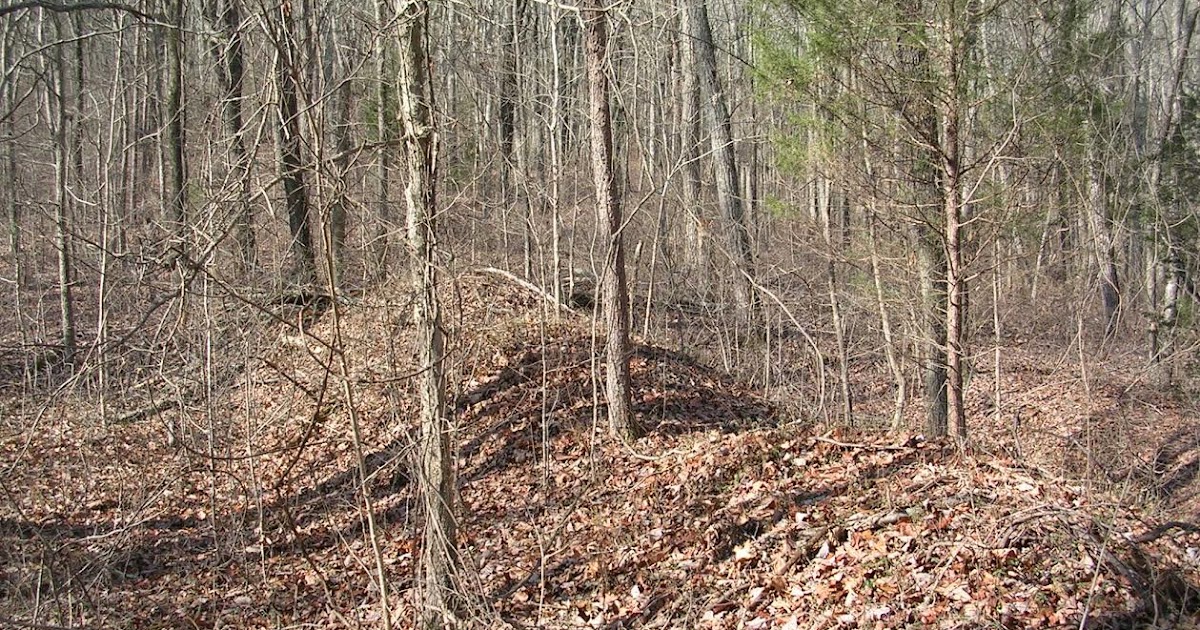 The Civil War Picket: Rocky Face Ridge: Civil War Trust announces ...