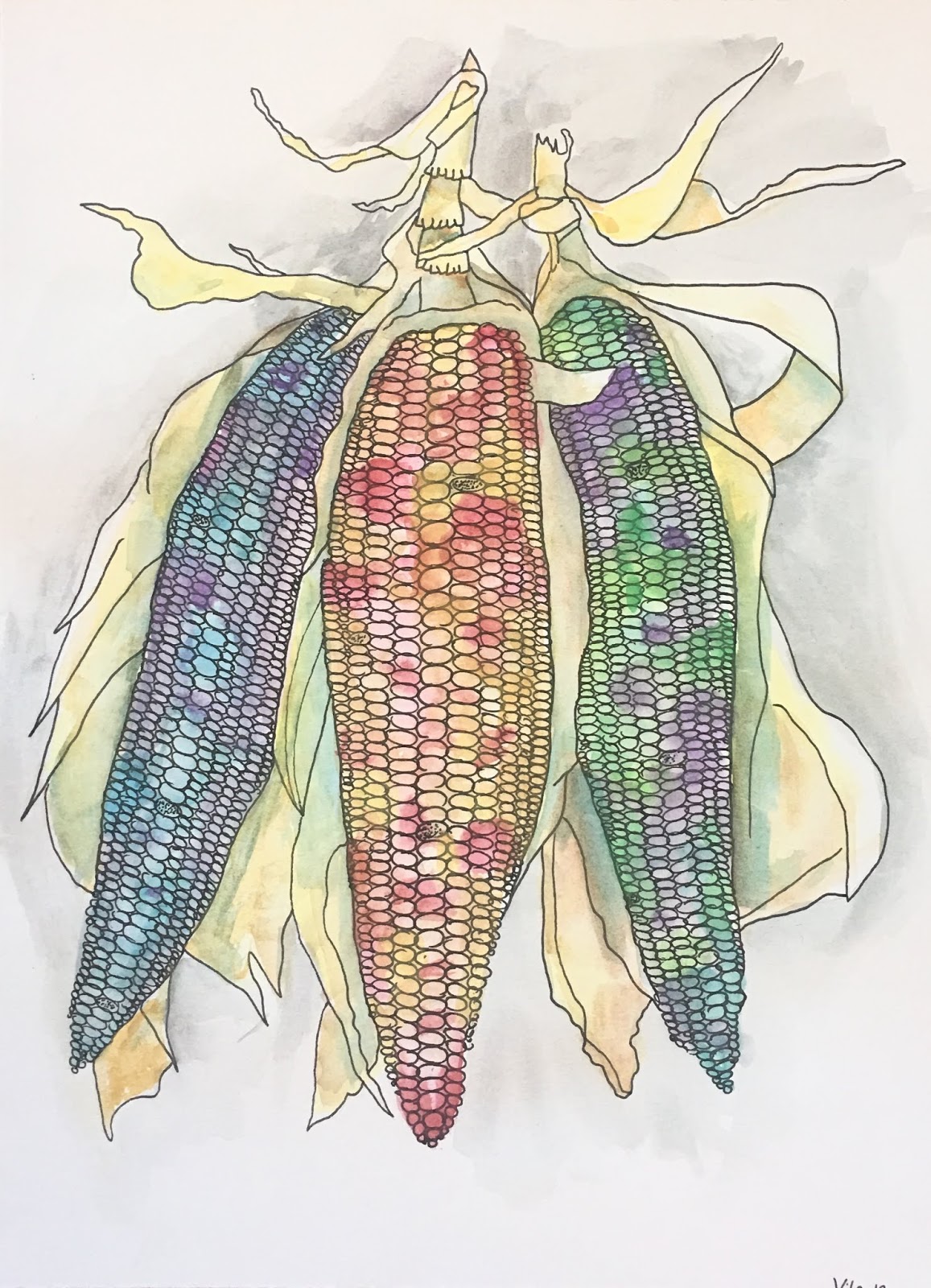 Art Room Britt: Indian Corn Pen and Watercolor Illustrations