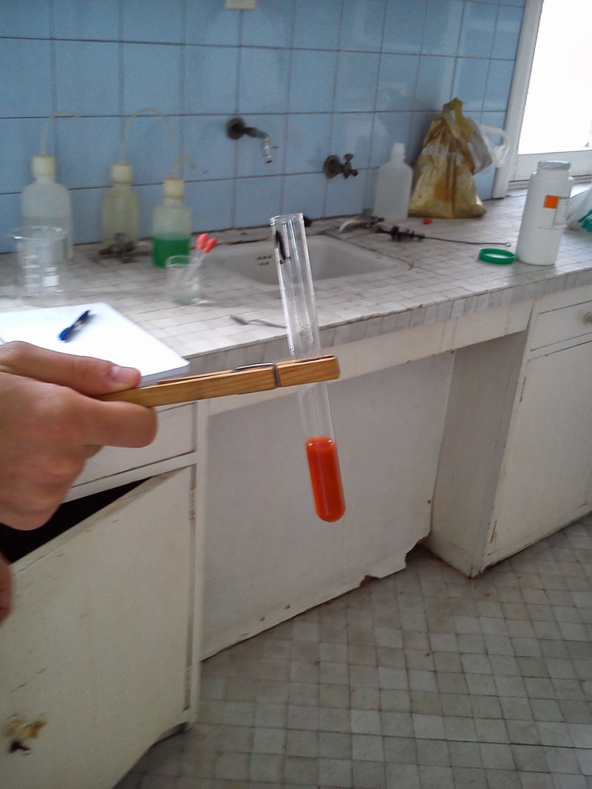 laboratorio2bach: AZÚCARES REDUCTORES Y REACCIÓN DE FEHLING