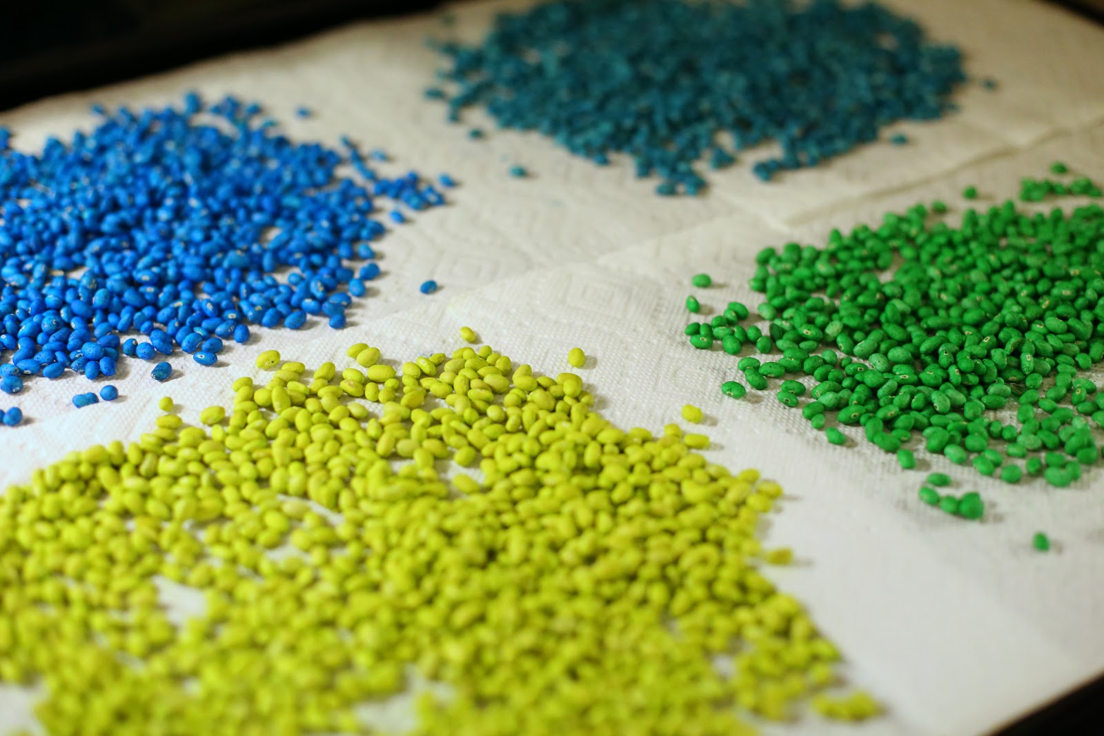 How to Color Beans for Play and Art