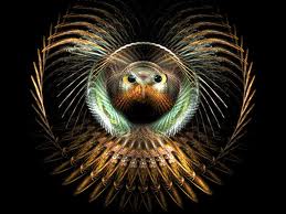 buldjr: Animal simbolico, el buho