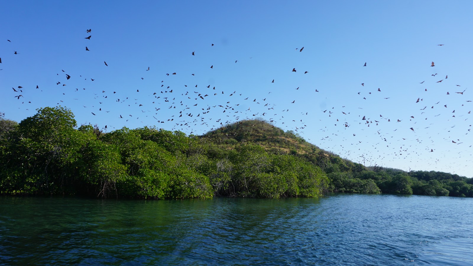 Taman Wisata Alam 17 Pulau Riung, Permata Kabupaten Ngada