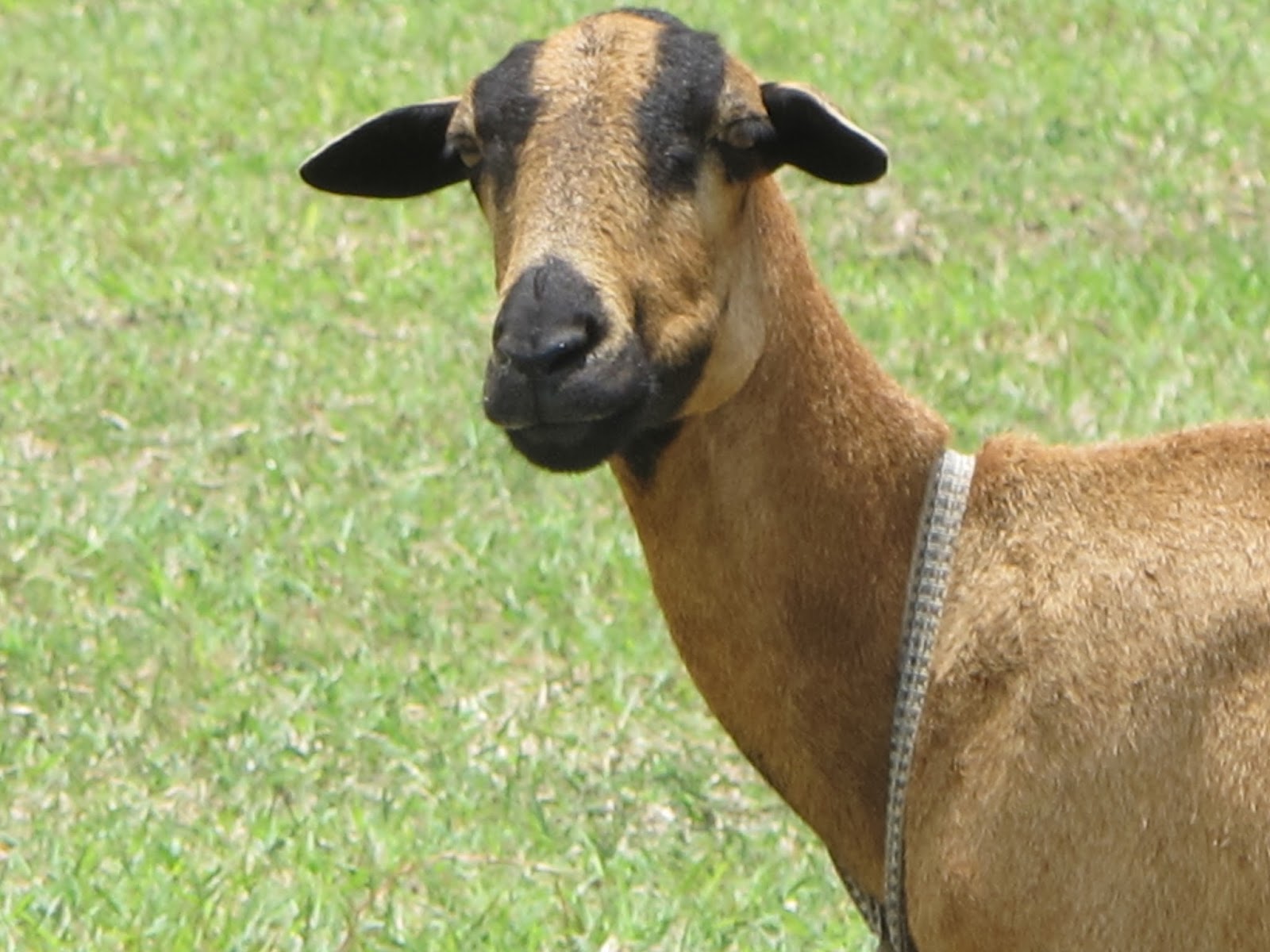 Beginning with a one way to Barbados: August 2013