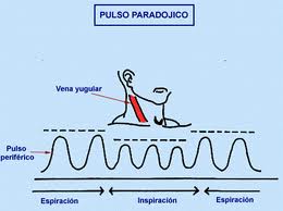 SEMIOLOGIA QUIRURGICA (UTESA)