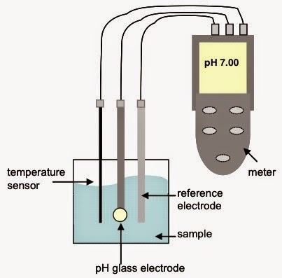 Apa Saja Bagian Bagian Ph Meter Dan Bagaimana Prinsip Kerja Ph Meter ...