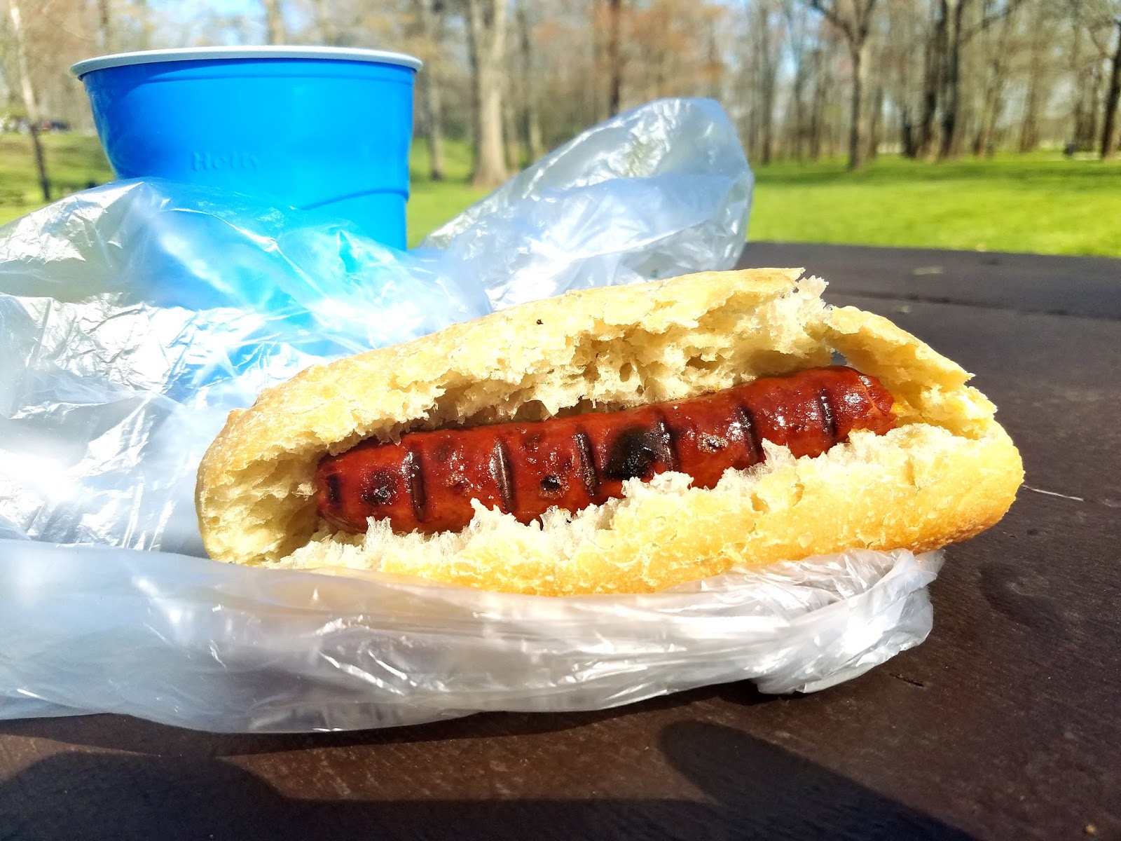 Kitchen Equipment #10 Qwik Cook Grill ~ Preesi ... Food Whore