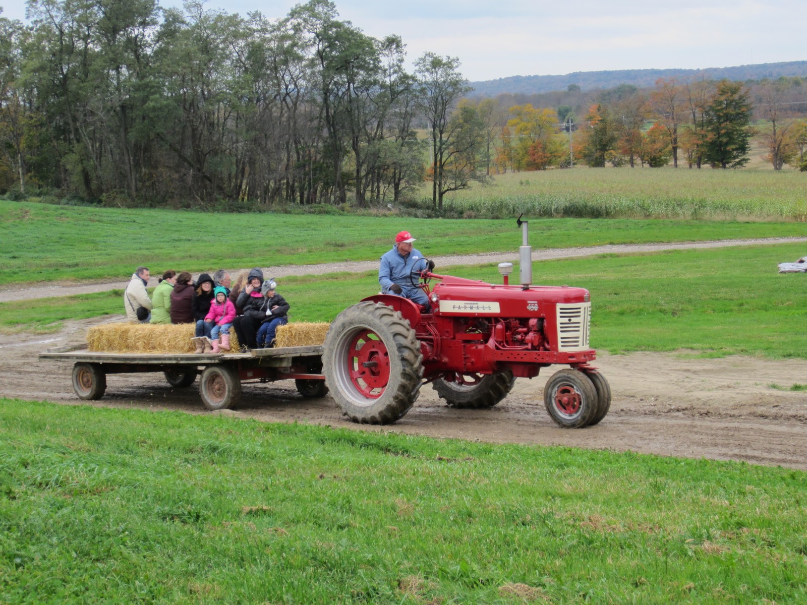 Hay rides, Hay and Maze on Pinterest