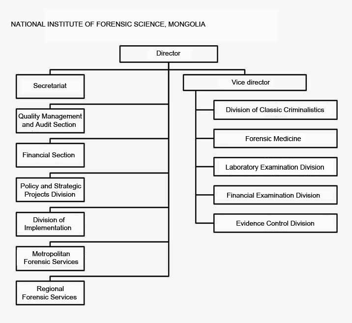 MONGOLIAN FORENSICS МОНГОЛЫН ШҮҮХ ШИНЖИЛГЭЭ: Organization chart