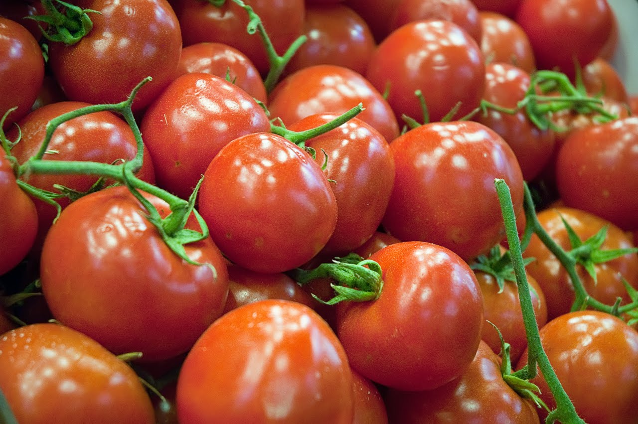 Recetas de Cocina en Cocinar: Use los tomates maduros