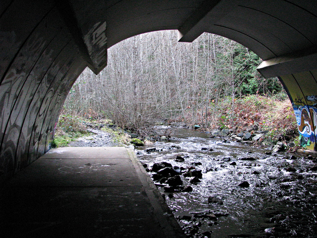 Everything Nanaimo: COLLIERY DAM PARK