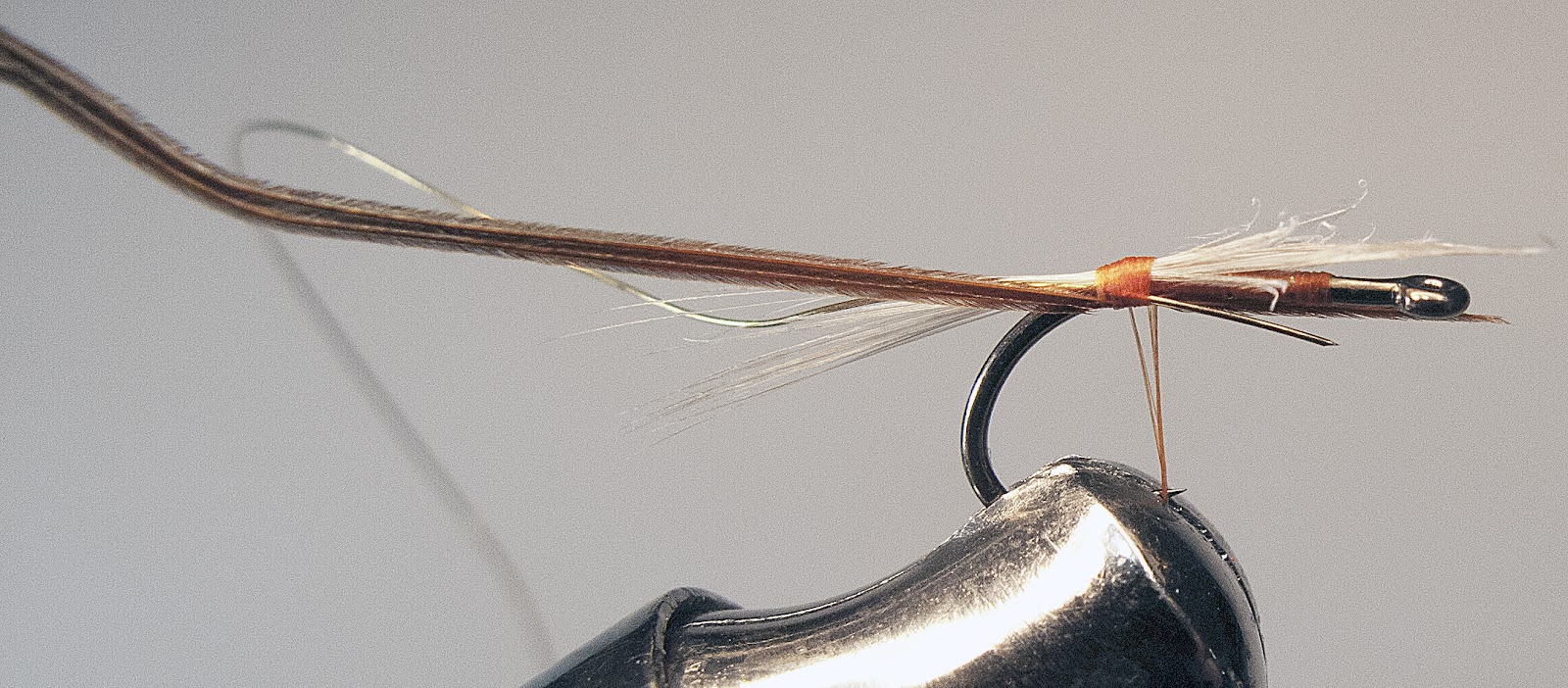 Dry Fly 'Expert': A Traditional Anatomy...