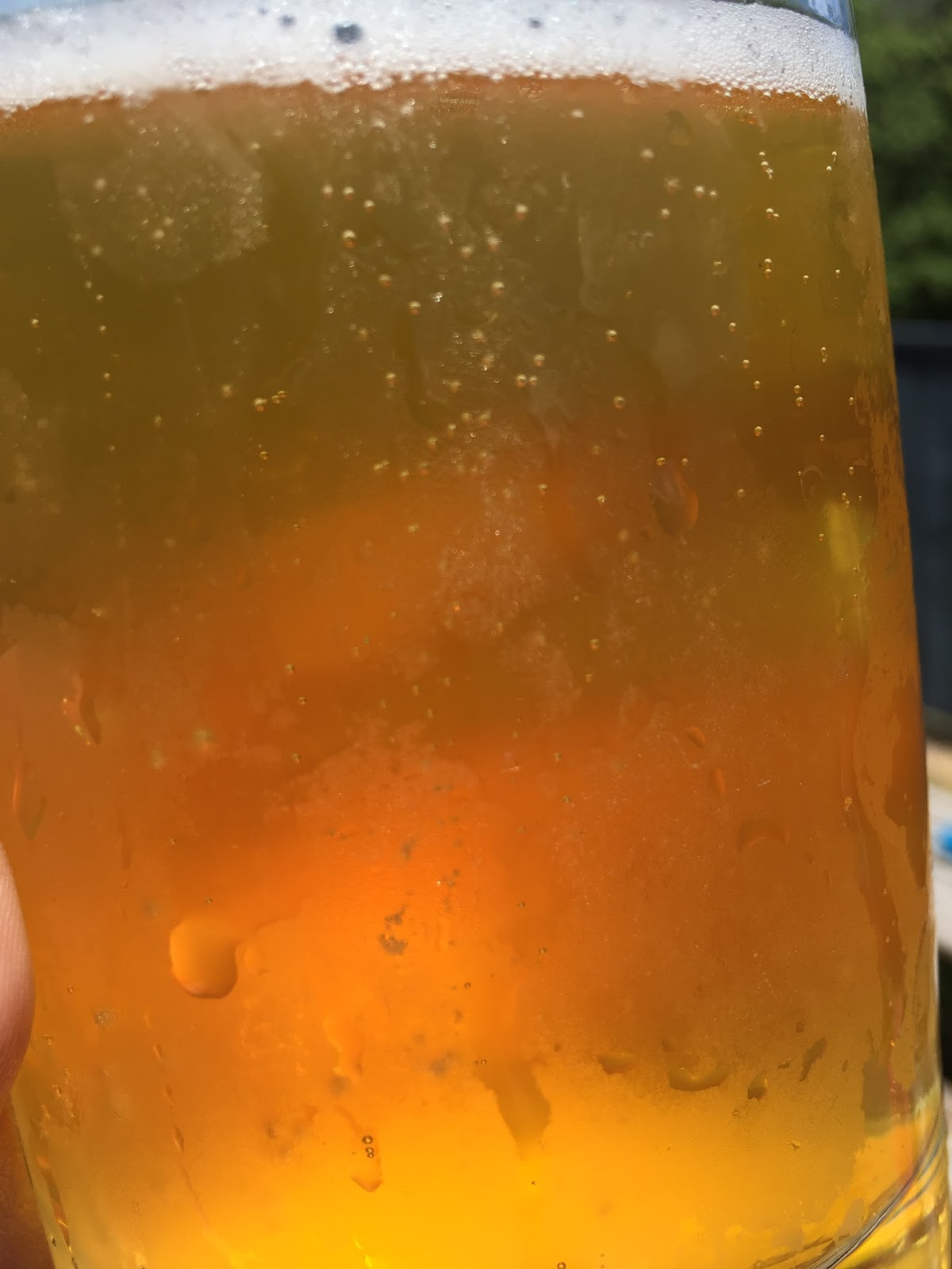 ↠ An experiment with a lager kit, riwaka hops and a bottle of Golden ...