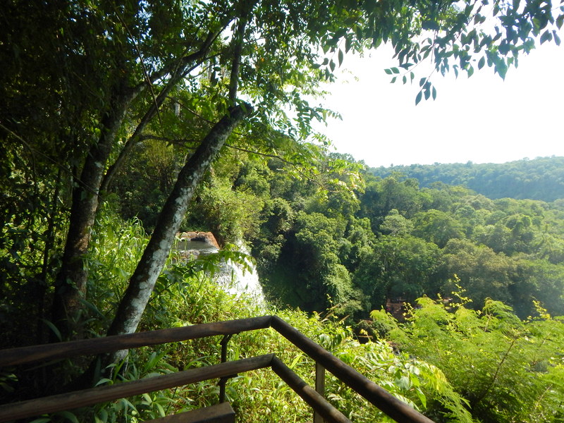 En el medio del sendero: UN VIAJE MARAVILLOSO