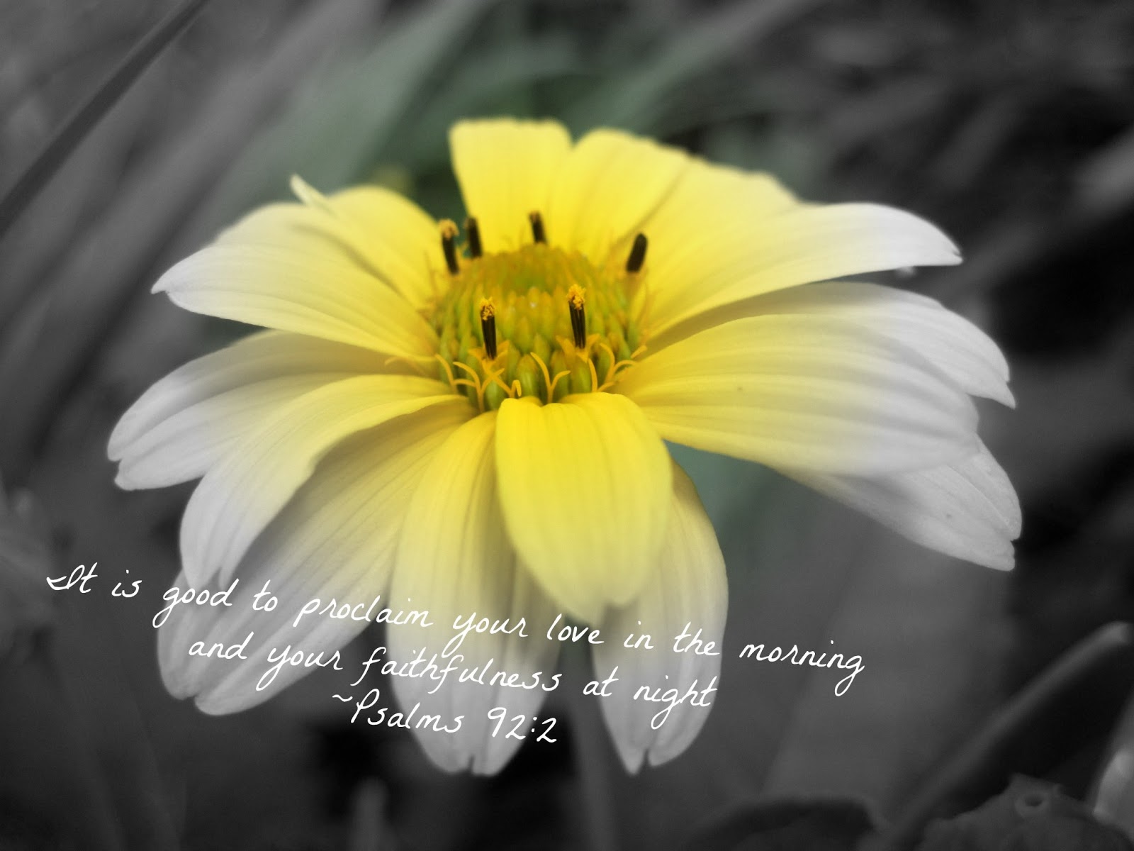 Selena s Reflections Psalm 92 2 Selena s Reflections Psalm 92 2