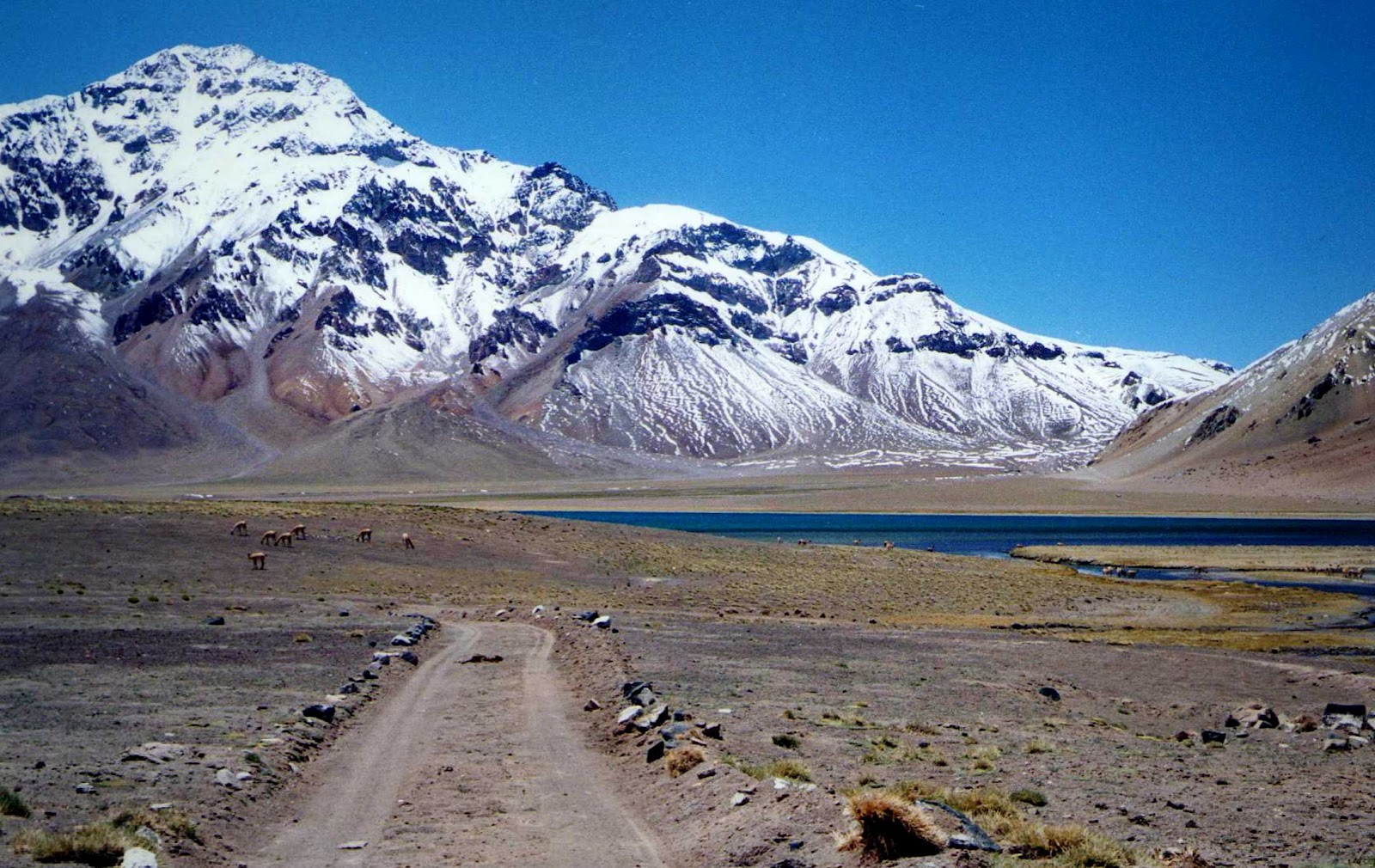 DE LOS ANDES PARA ACÁ, DE LOS ANDES PARA ALLÁ: Laguna del Diamante y ...